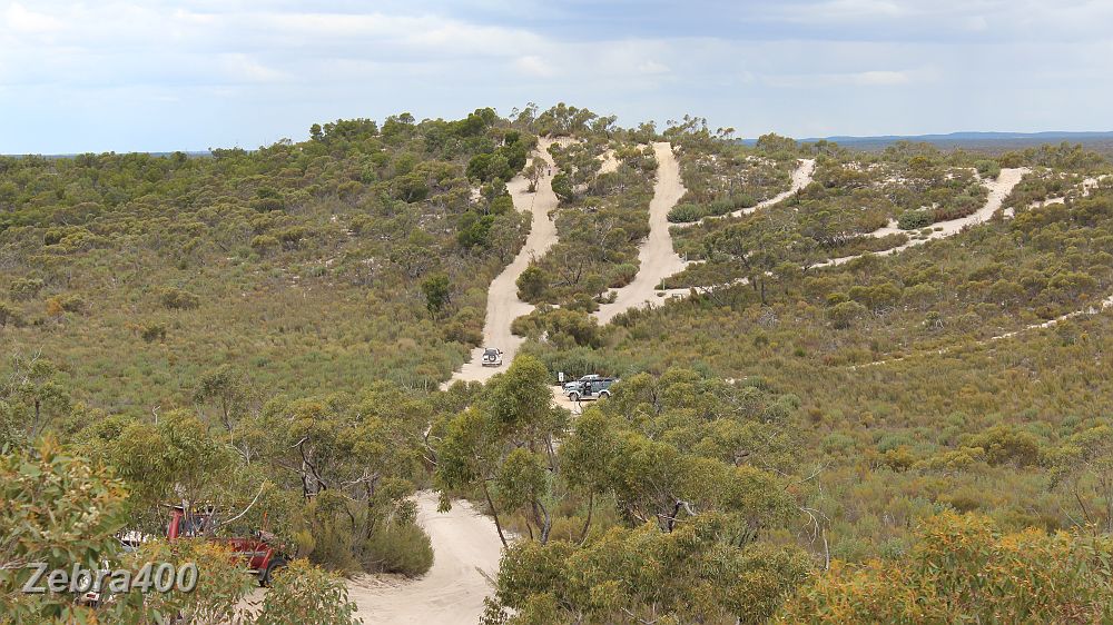 2012-04-VicSA Border Track/23-Many chicken tracks on this exciting ...
